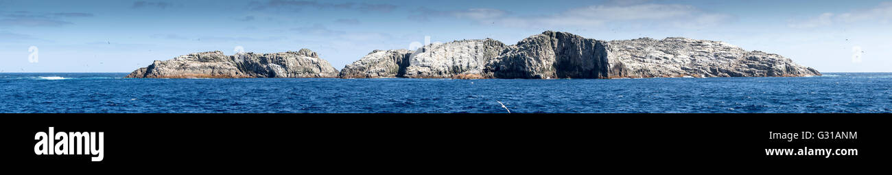 Panoramic image of Bounty Island in sunlight, New Zealand sub-Antarctic ...