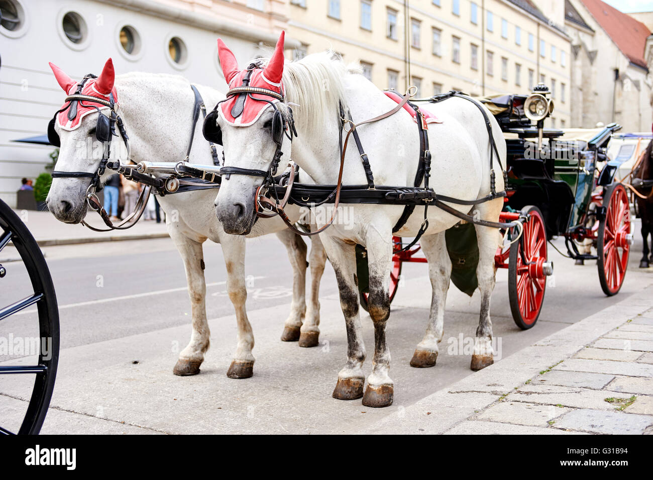 Horse-drawn carriage (Fiacre) waiting for a tourists in the old city in ...