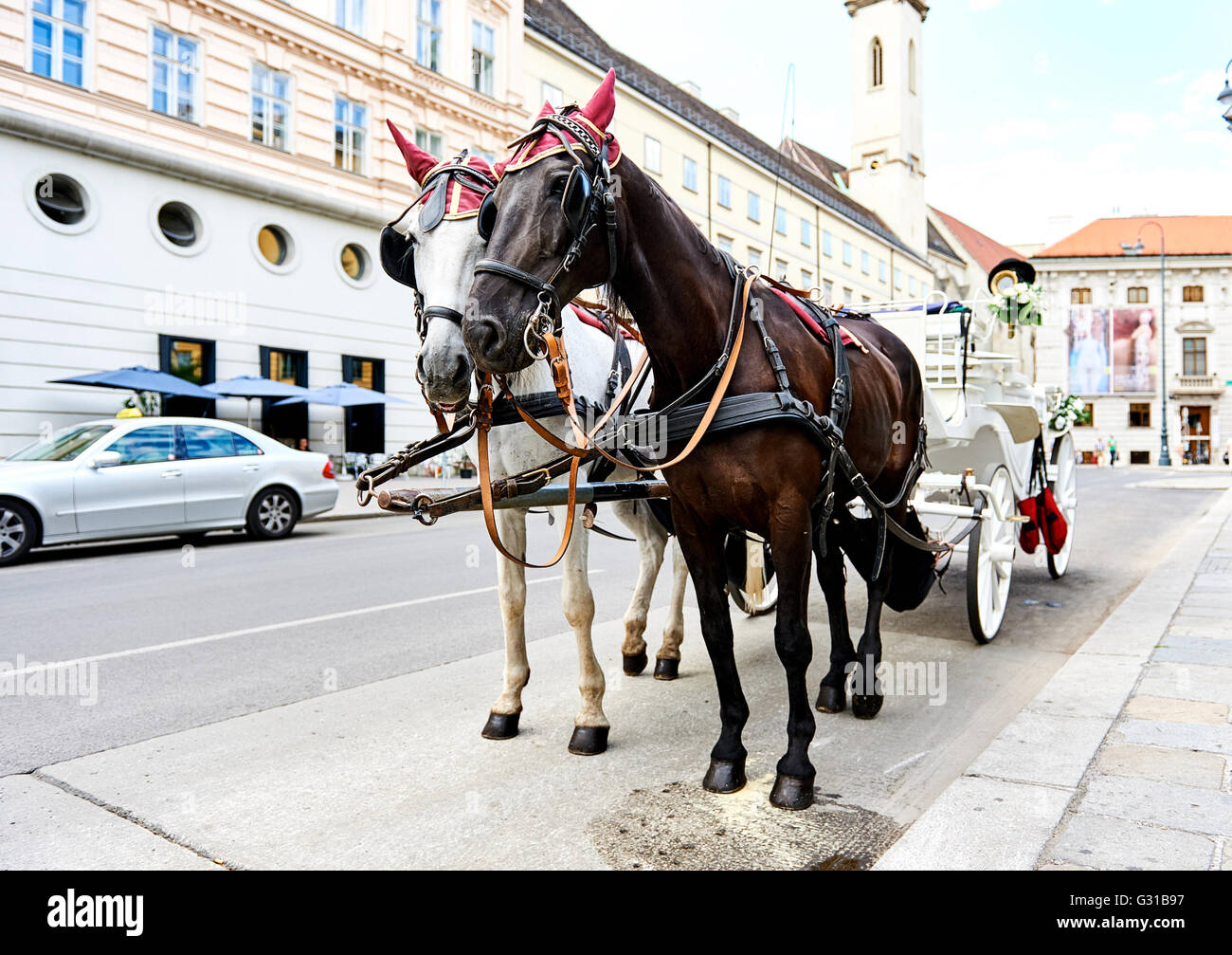 Wedding horse-drawn carriage (Fiacre) in the old city in Vienna ...