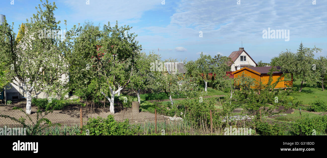Collage blooming apple trees hi-res stock photography and images - Alamy