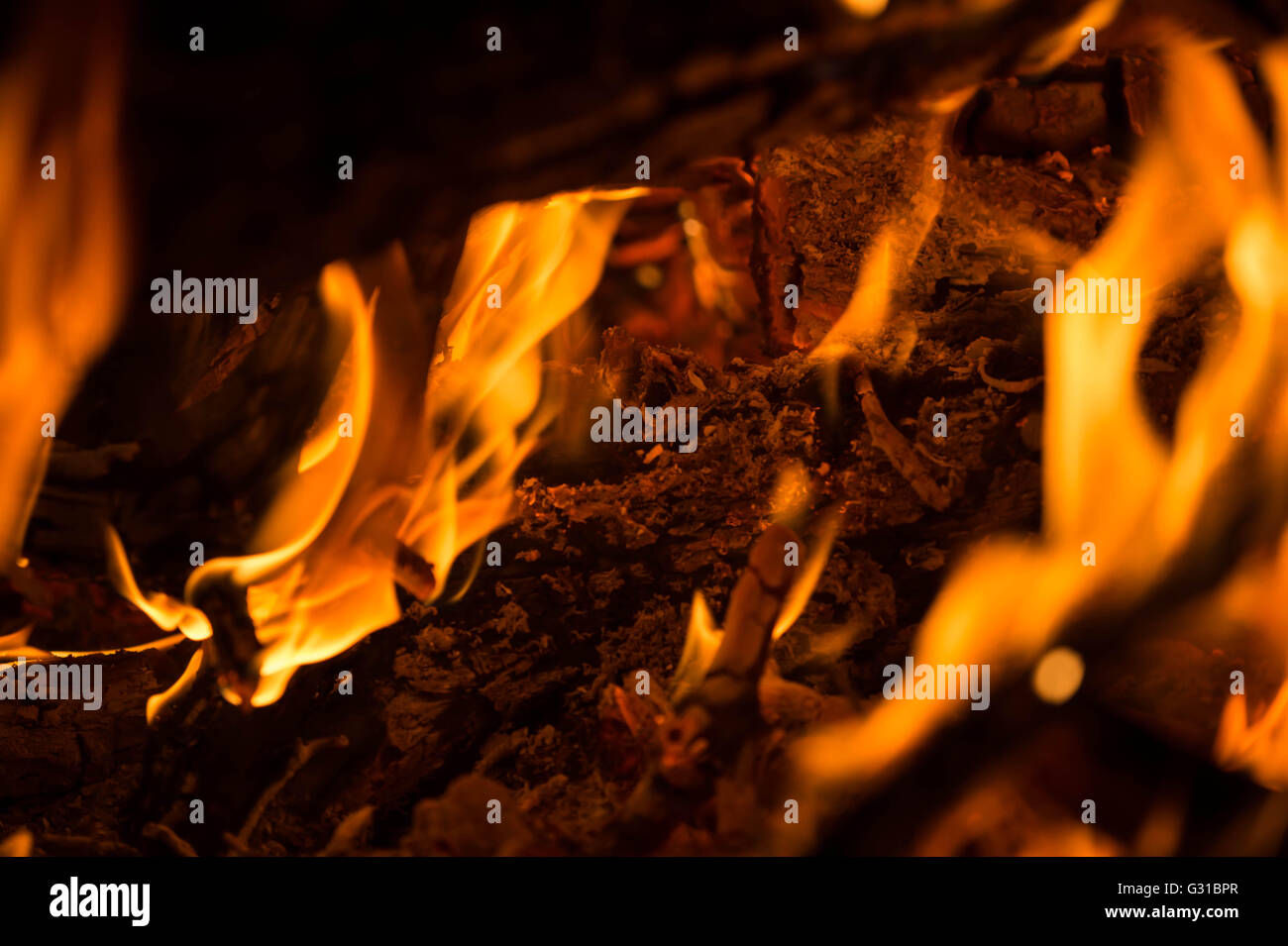 Bright flame of the burning bonfire close up Stock Photo - Alamy