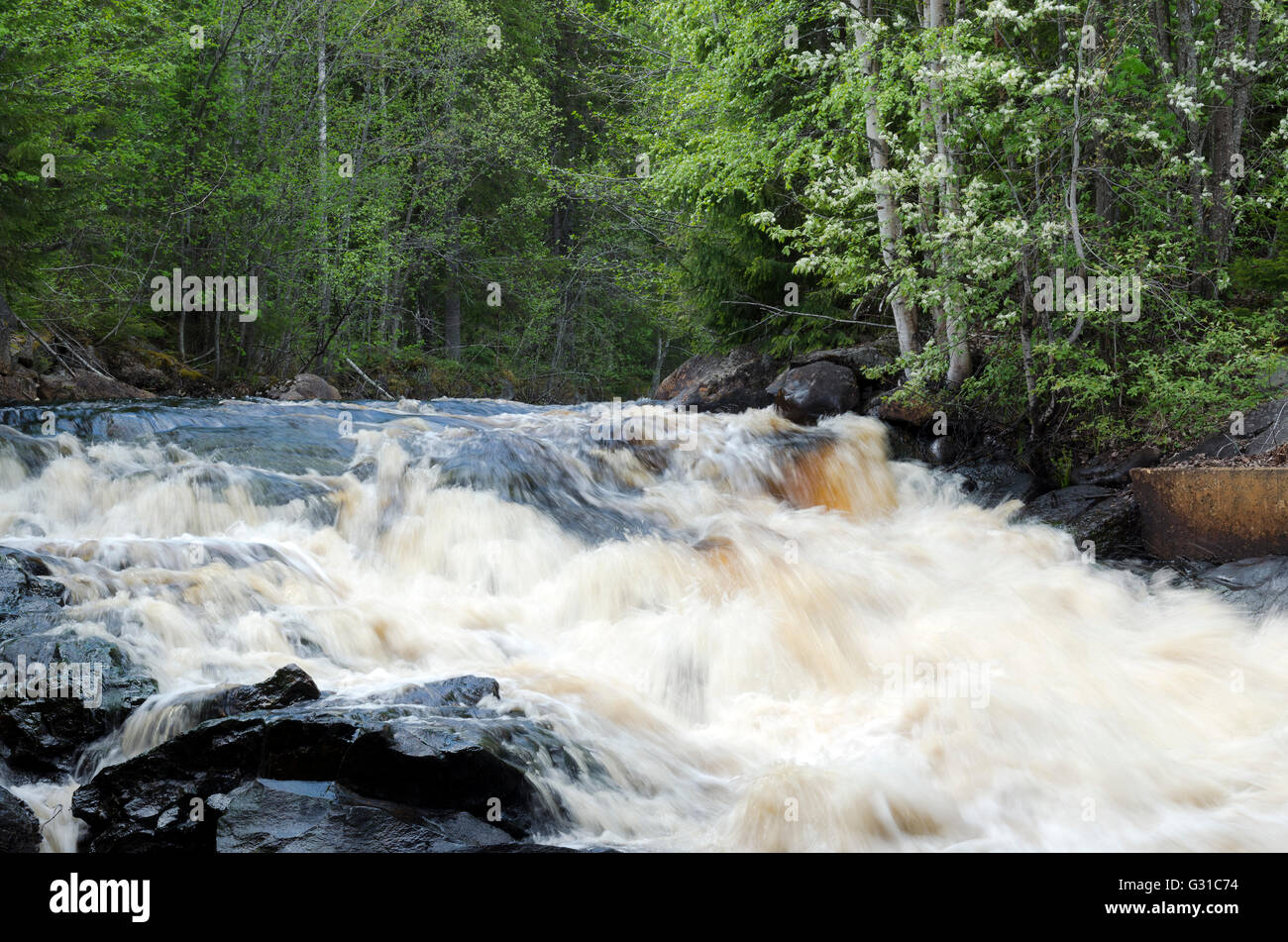White water in a little river in spring time, picture from the North of ...
