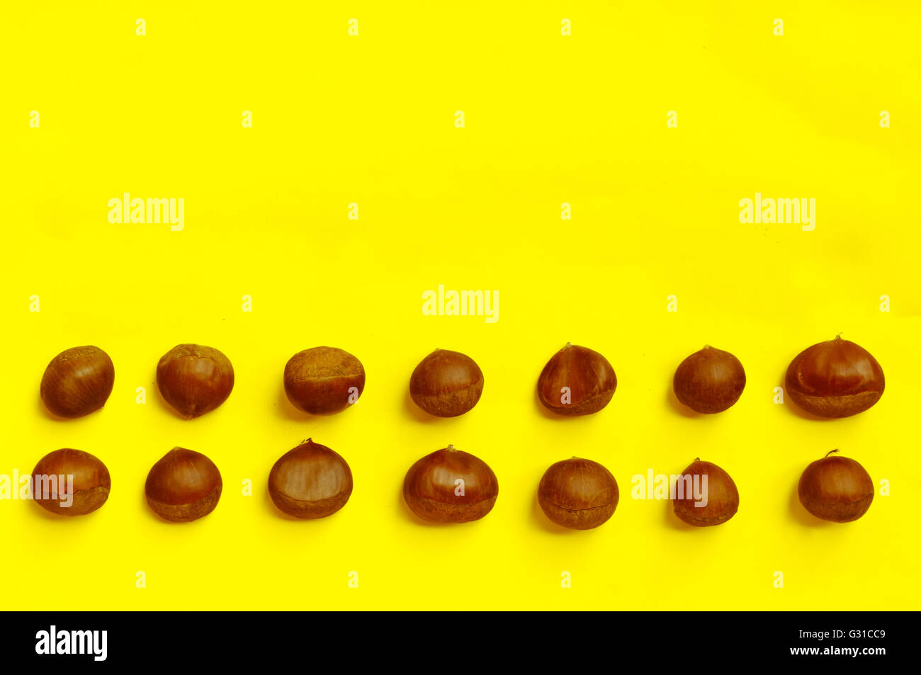 Chestnut pattern on yellow background, top view, horizontal, copy space ...