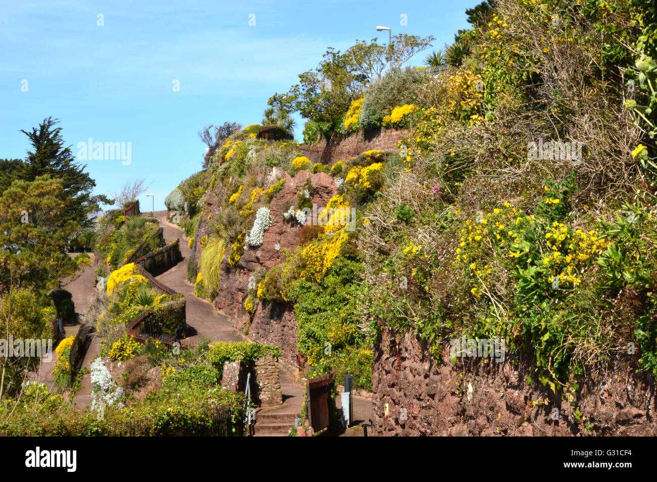 Cliffs on pathway down from Roundham Head to Goodrington, Torbay, Devon ...