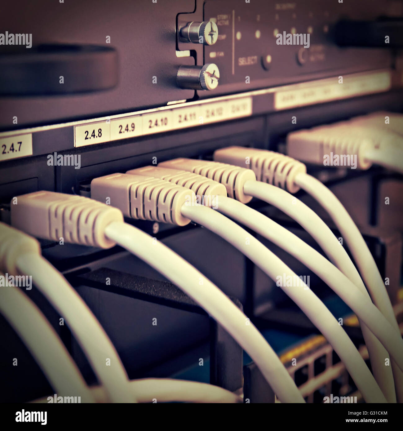 Patch Panel server rack with gray cords Stock Photo - Alamy