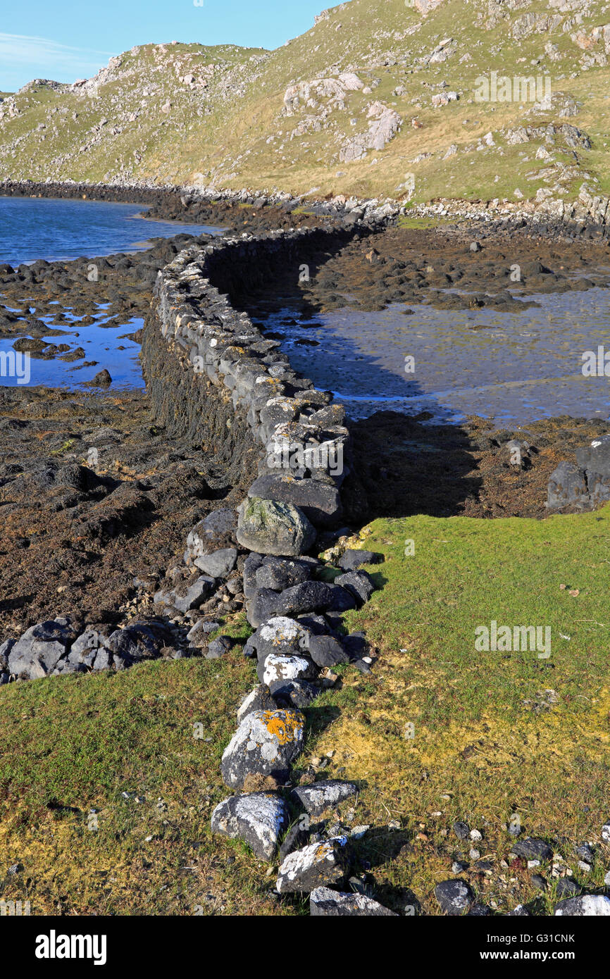 Stone wall creating an old lobster pool on the Island of Pabay Mor in ...