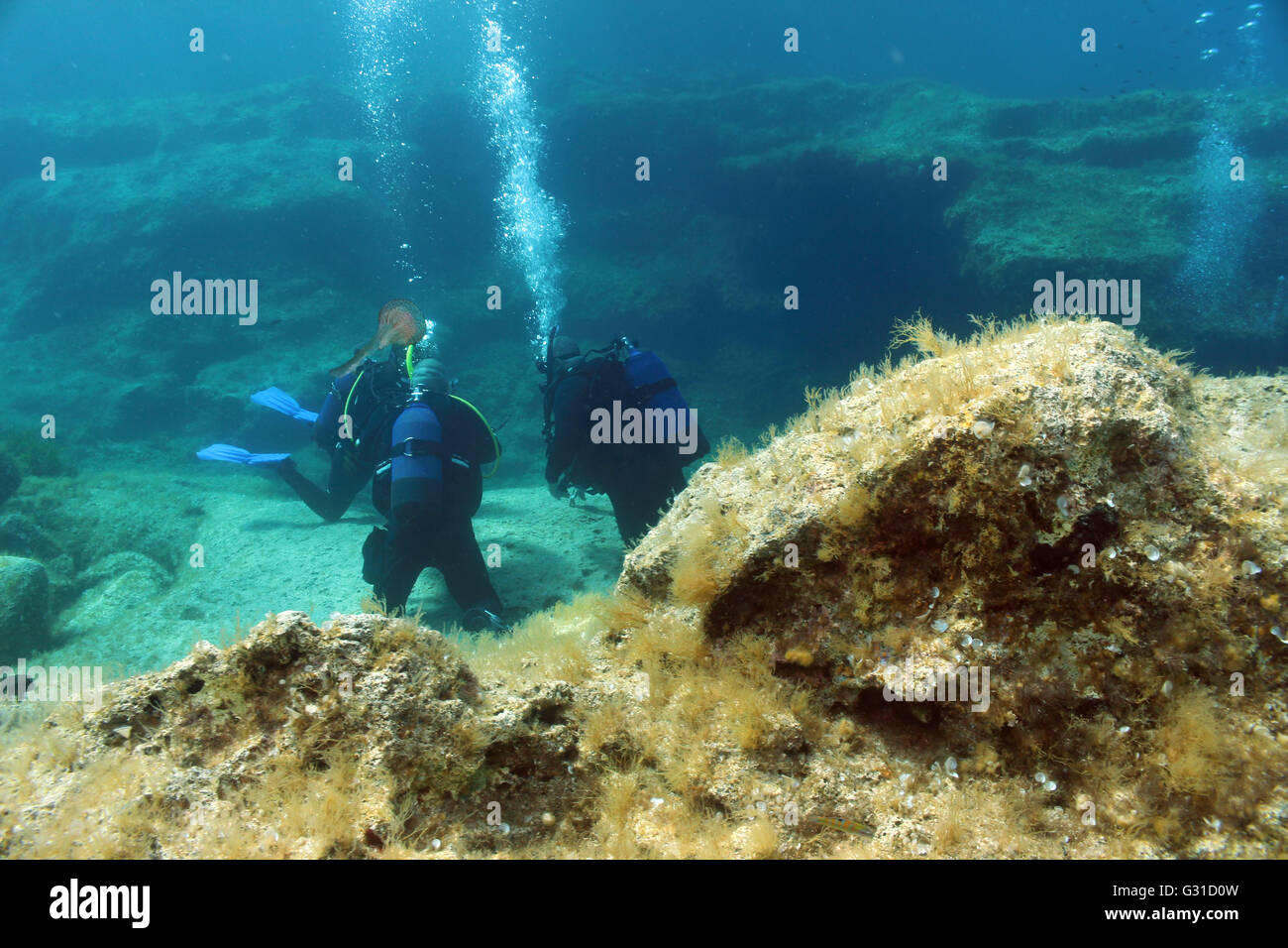 Divers kneel on a reef Stock Photo - Alamy