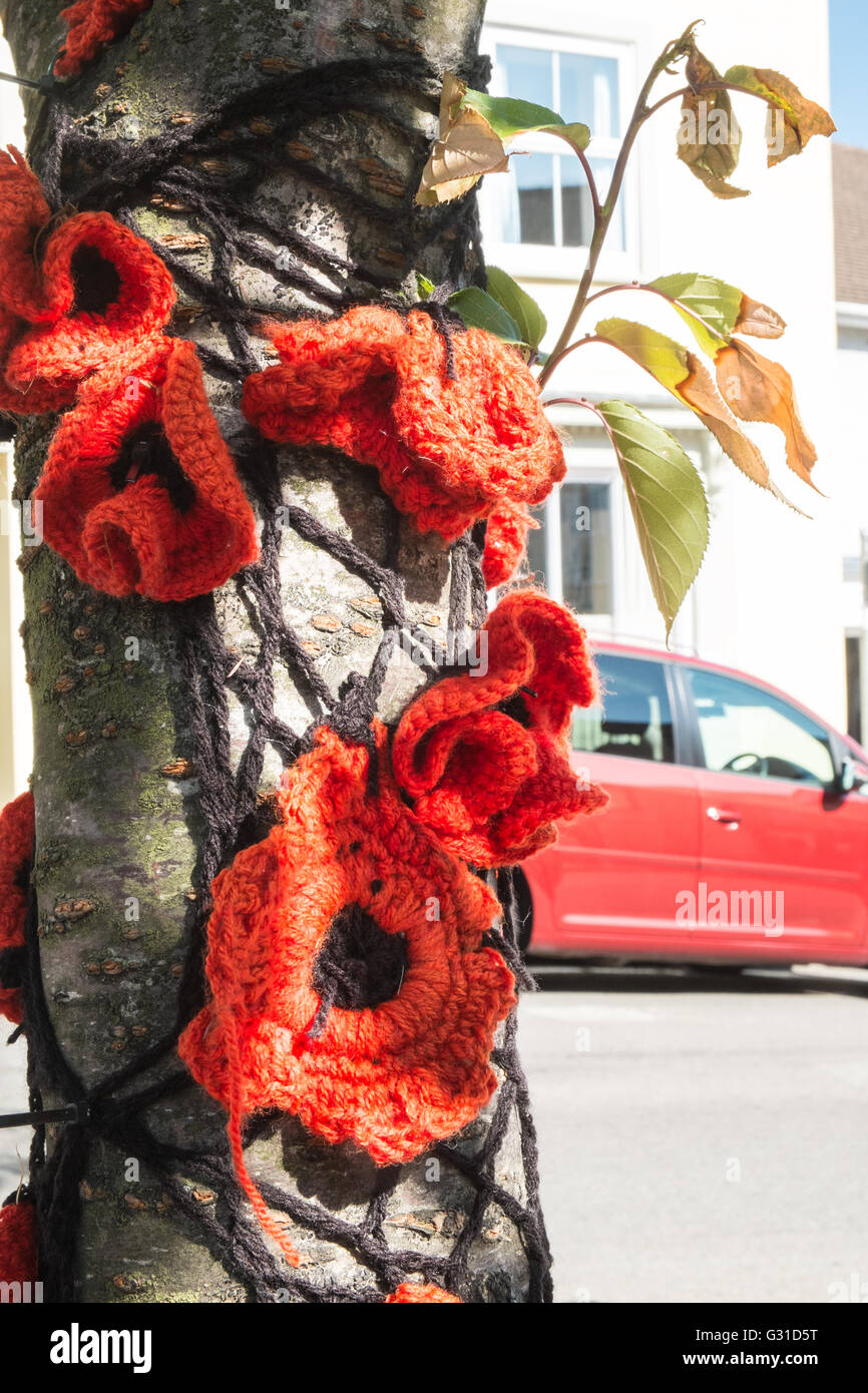 knitted poppy,poppies on tree at war memorial in Narbeth,Pembrokeshire ...