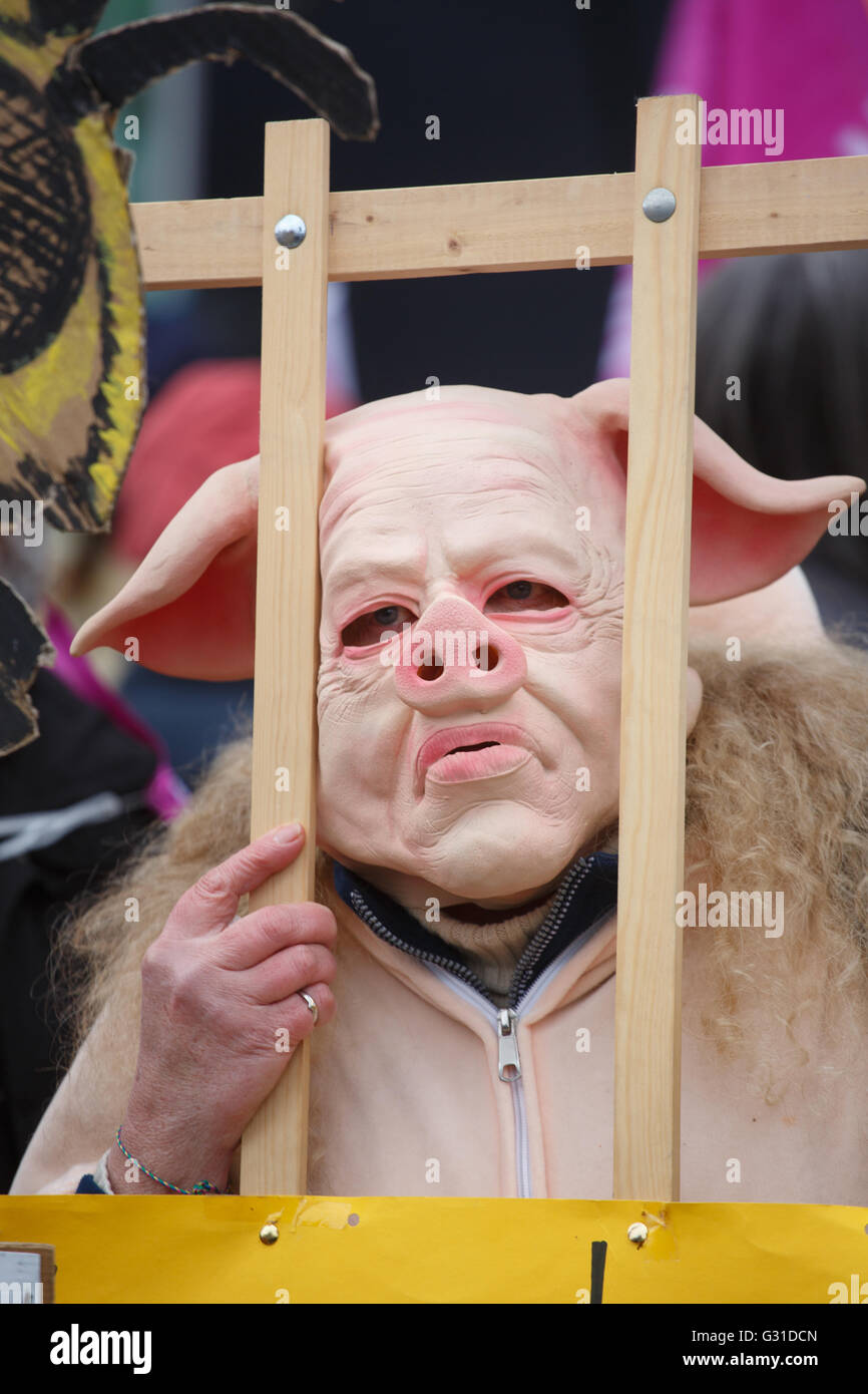Berlin, Germany, Protest against factory farming Stock Photo - Alamy