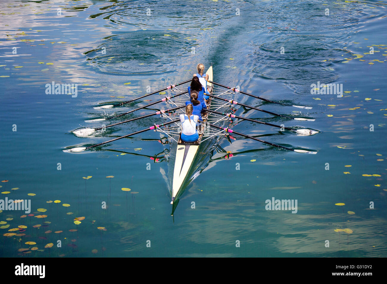 Sculling Team Rowing On Water High Resolution Stock Photography and ...
