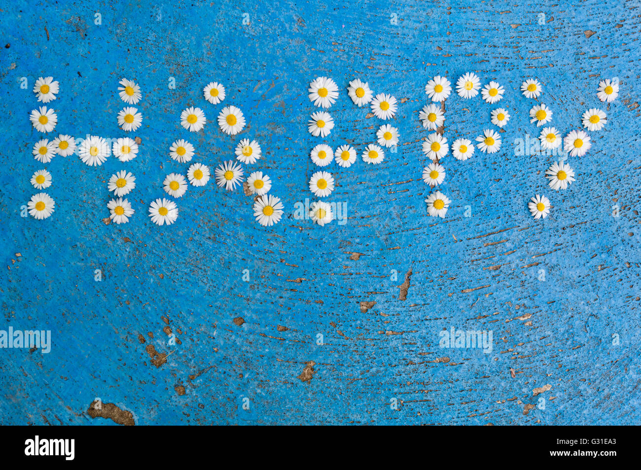 Daisy word hi-res stock photography and images - Alamy