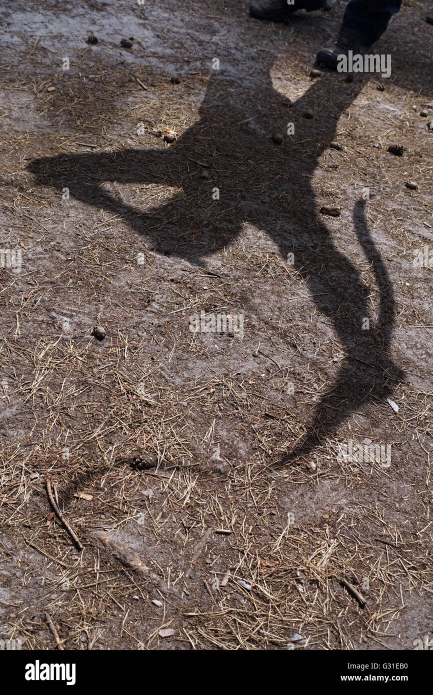 Silhouette of a man shooting an arrow hi-res stock photography and ...