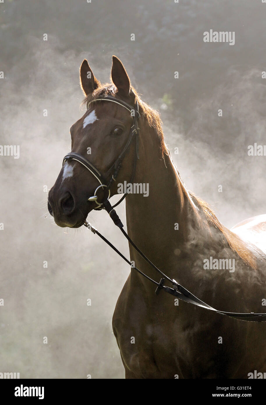 Profusely sweating hi-res stock photography and images - Alamy