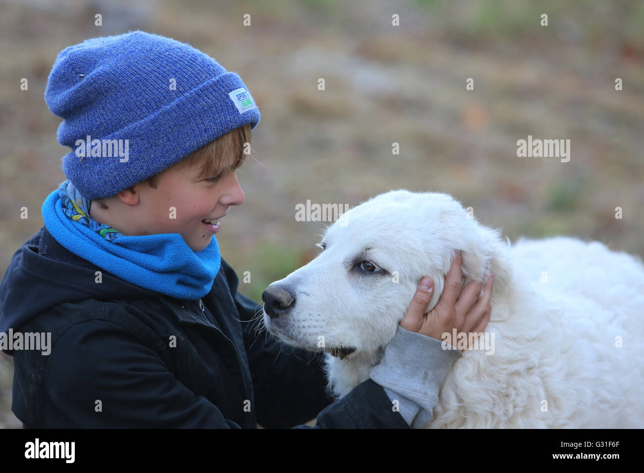 Boy caressing a dog hi-res stock photography and images - Alamy