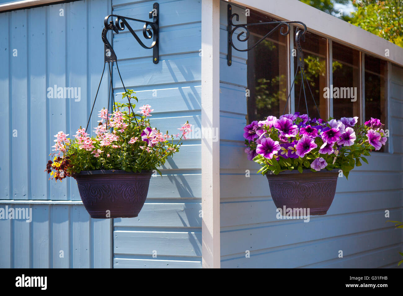 Graden sheds in summer weather, flowers, hanging baskets and powder ...