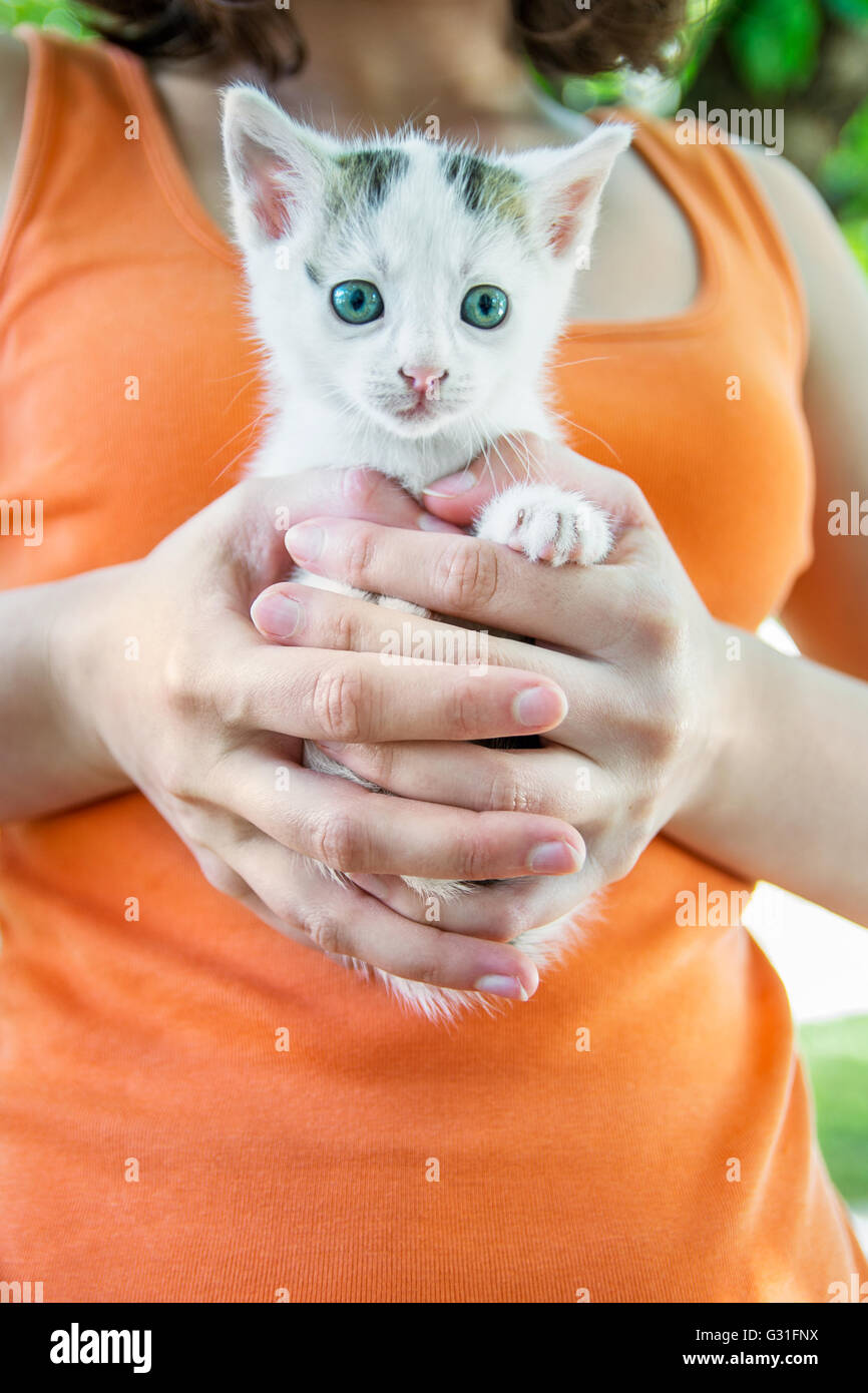 Girl holds cat on hand Stock Photo - Alamy