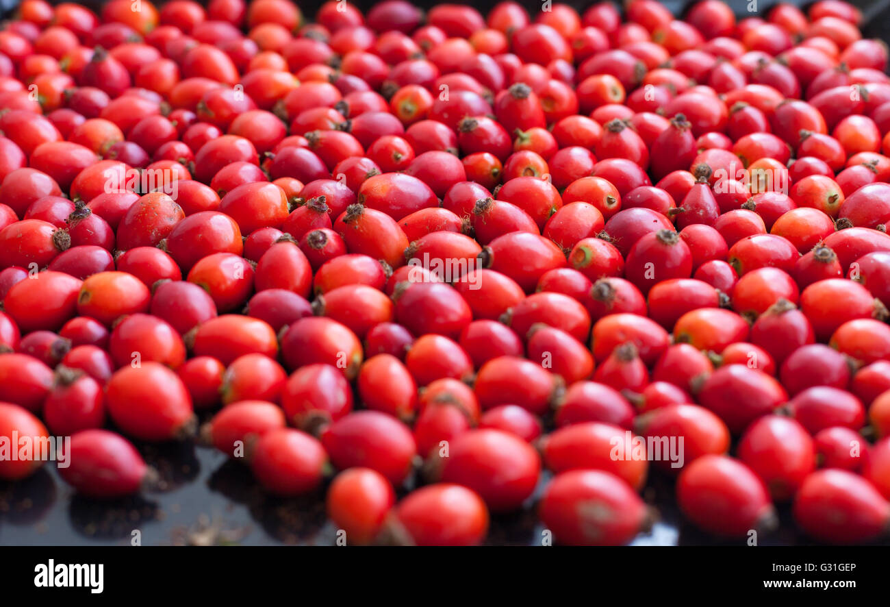 Raw rose hips Stock Photo - Alamy