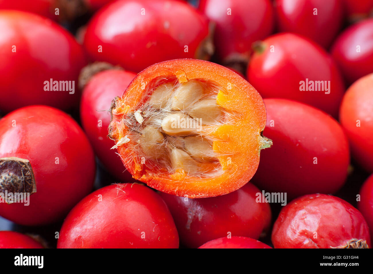 Raw rose hips Stock Photo - Alamy