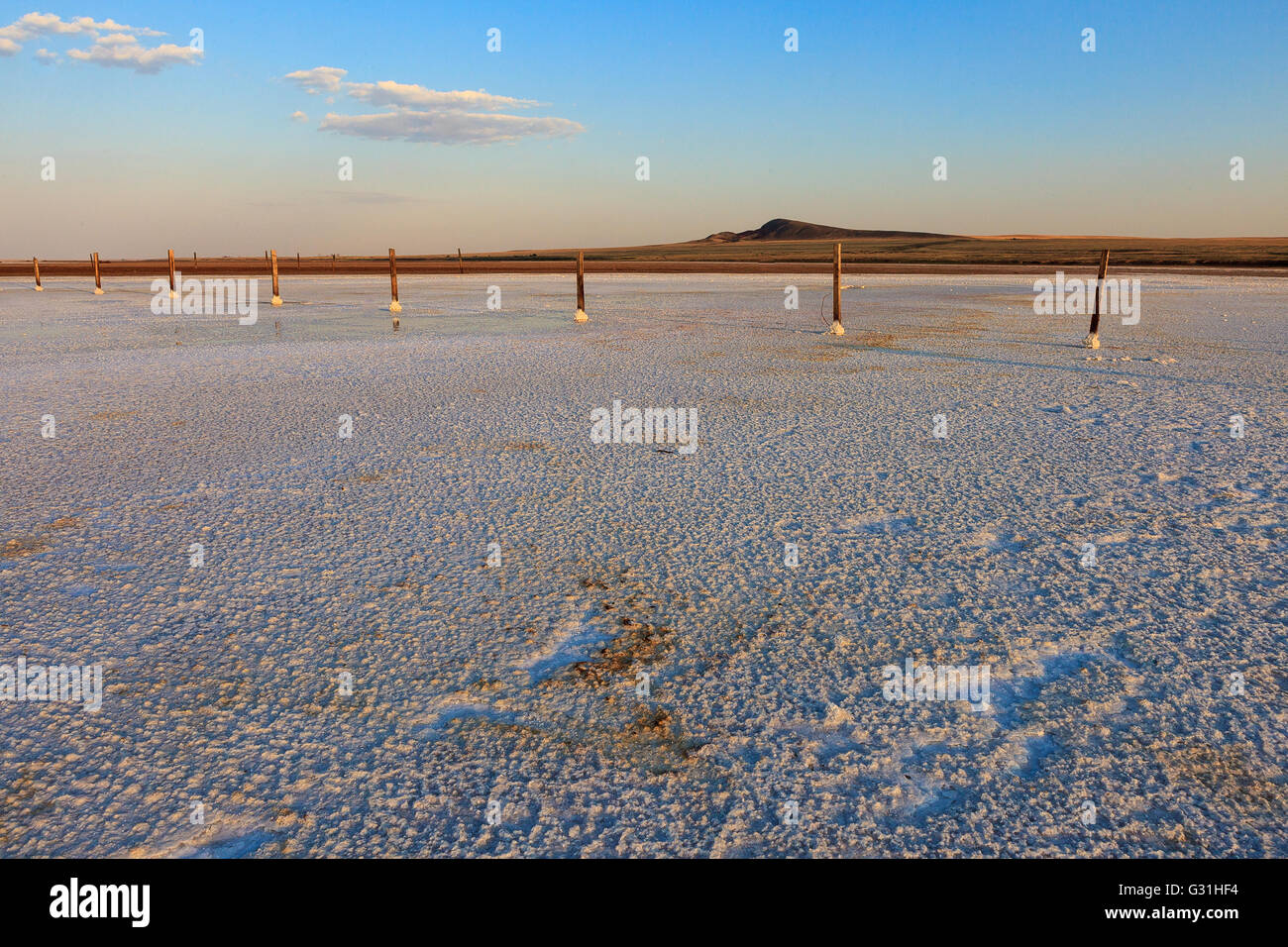 Wooden pillars and a salt crust on the surface of the desert and the ...