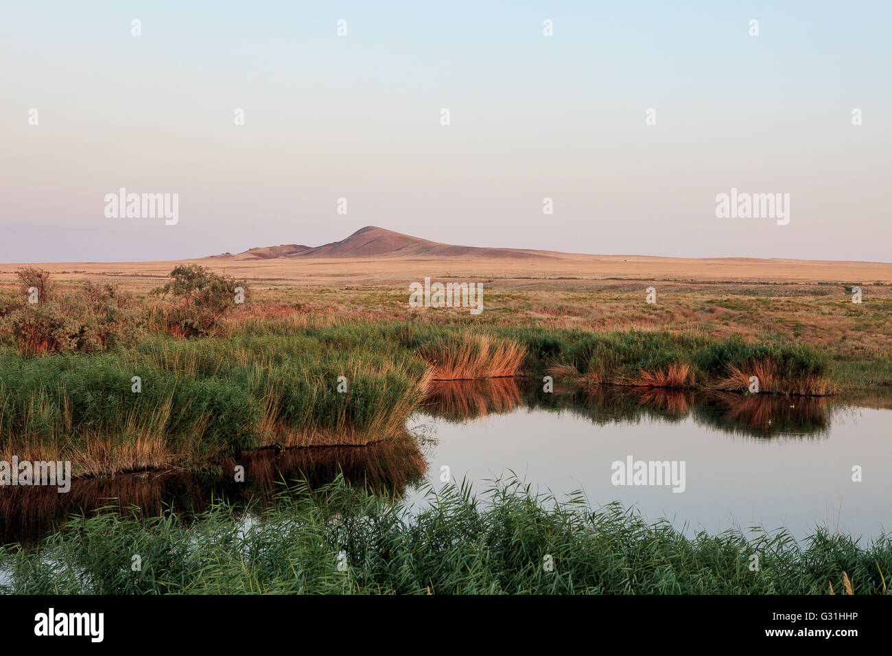 Baskunchak, Bogdo, lake oasis. The reeds and grasslands landscape ...
