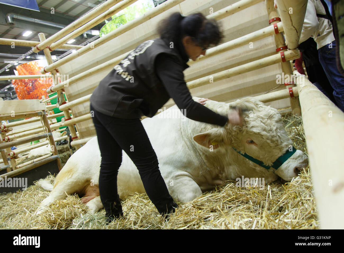 Berlin, Germany, at the International Uckerm rker Greens week Stock ...