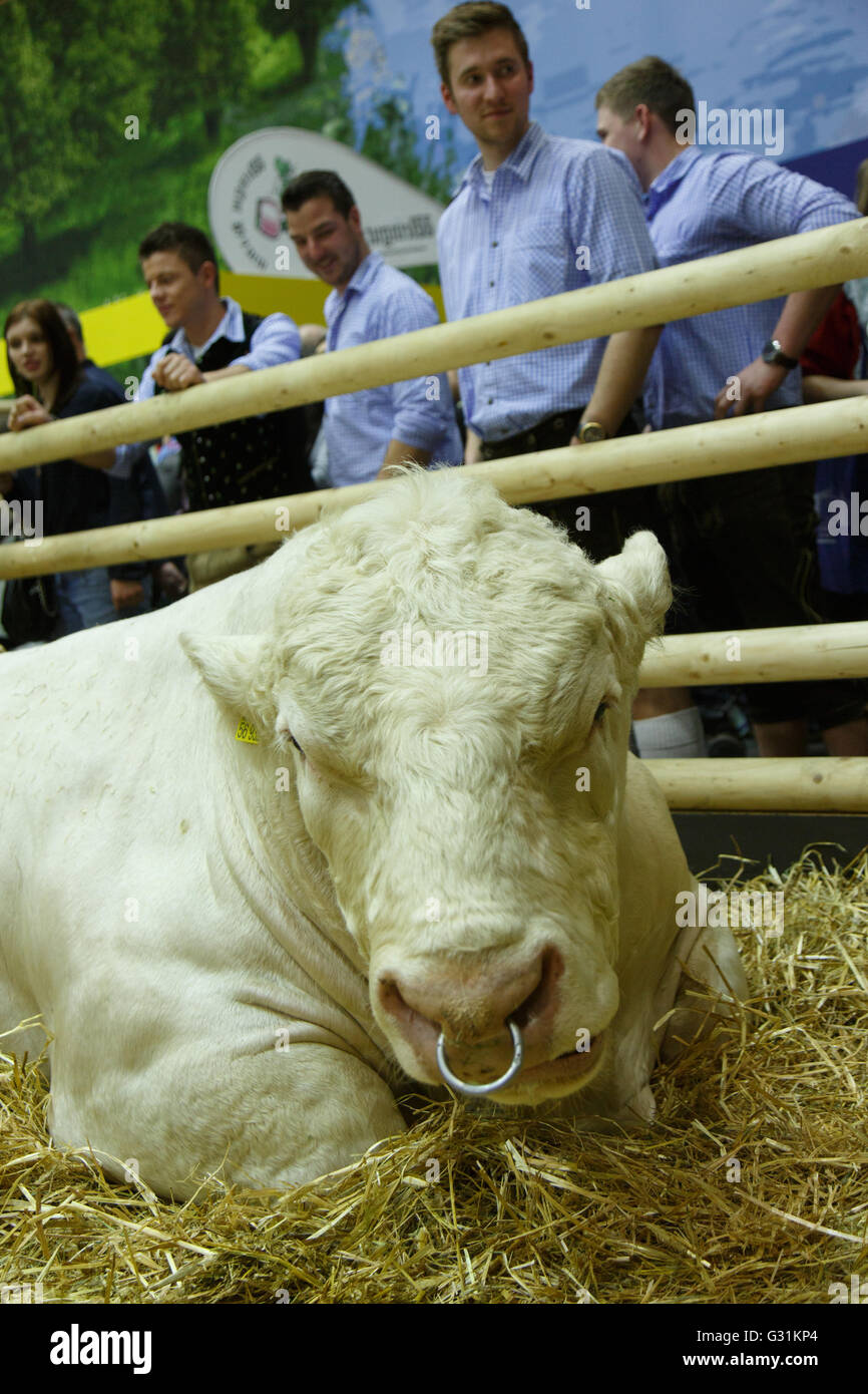 Berlin, Germany, at the International Uckerm rker Greens week Stock ...