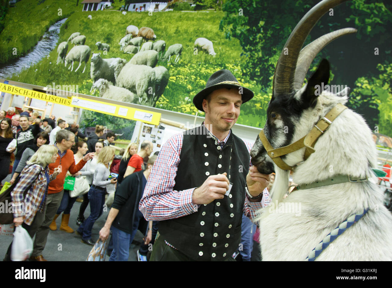 Berlin, Germany, at the International Goat Greens week Stock Photo - Alamy