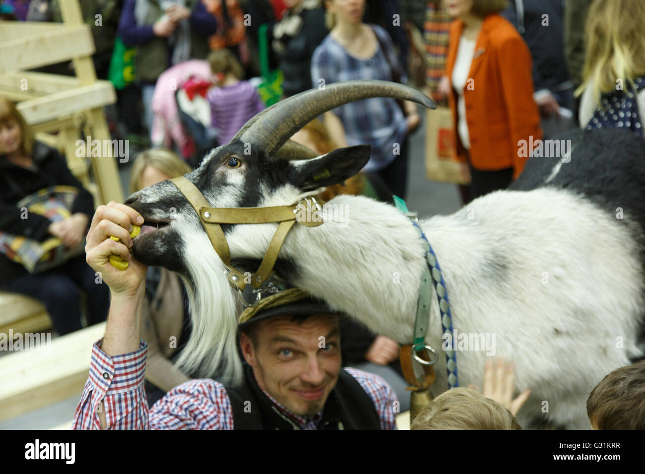 Booth livestock people hi-res stock photography and images - Alamy