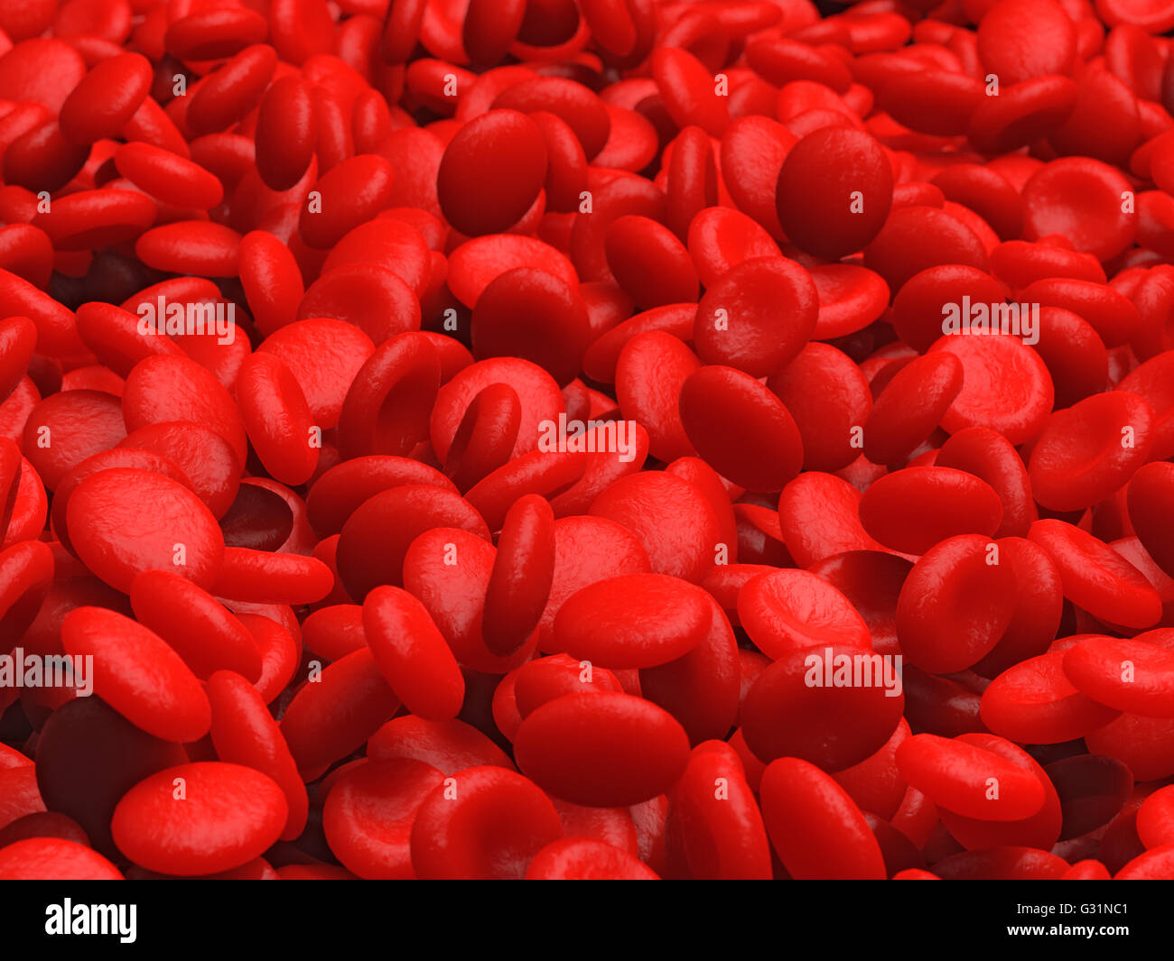 Red blood cells erythrocytes in interior of arterial or capillary blood ...