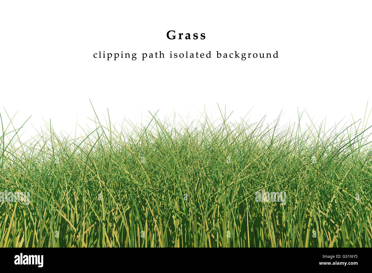 Dry grass isolated on white background include clipping path. 3D ...