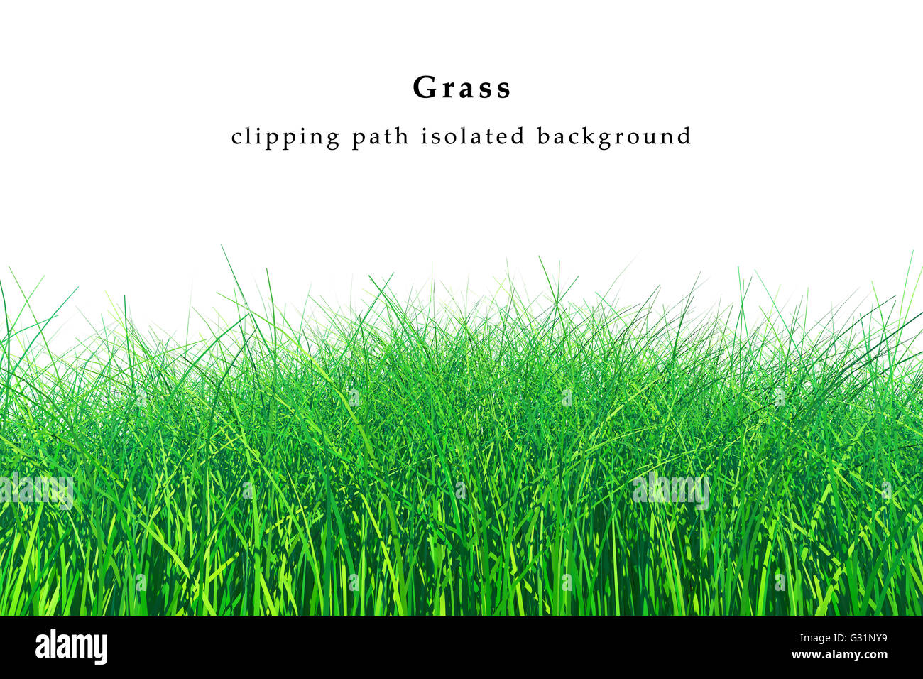 Juicy grass isolated on white background include clipping path. 3D ...