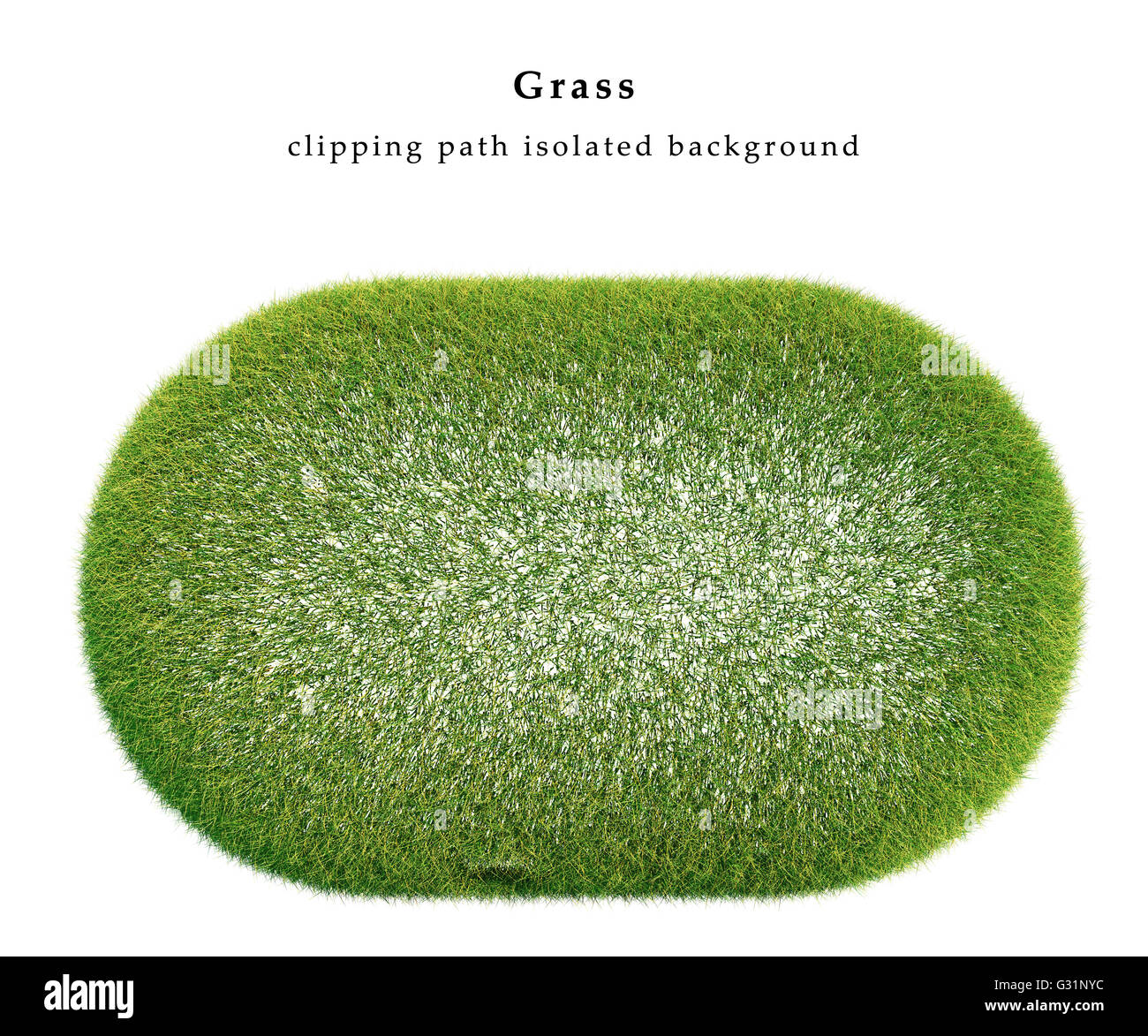 Dry grass isolated on white background include clipping path Stock ...