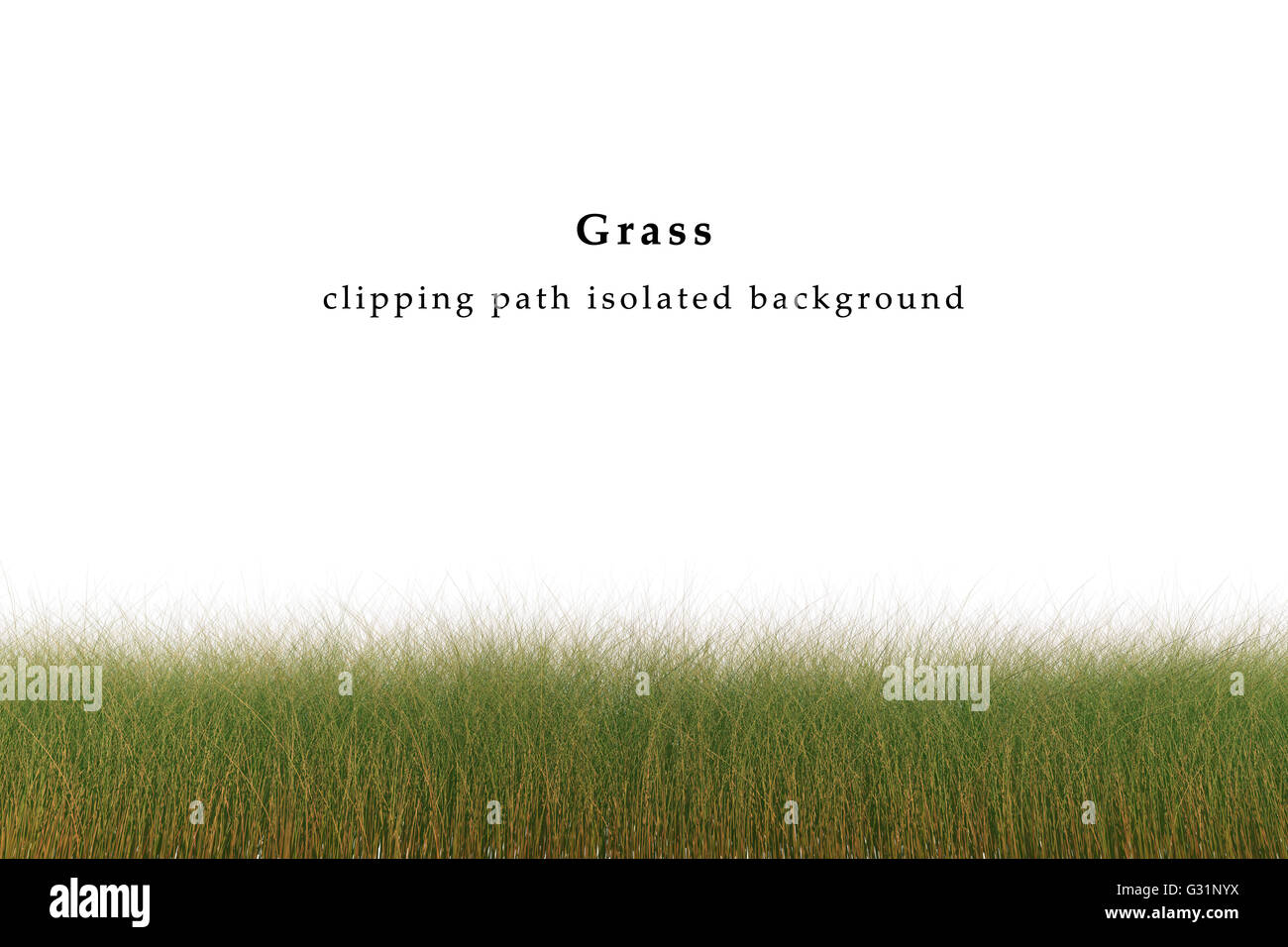 Dry grass isolated on white background include clipping path. 3D ...