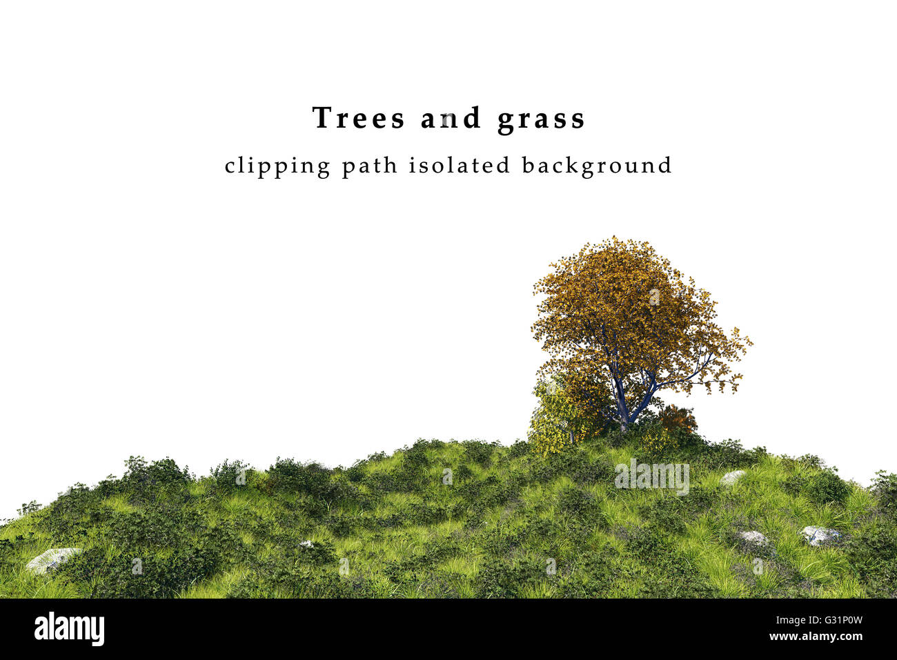 Green grass field and tree landscape isolated on white background ...