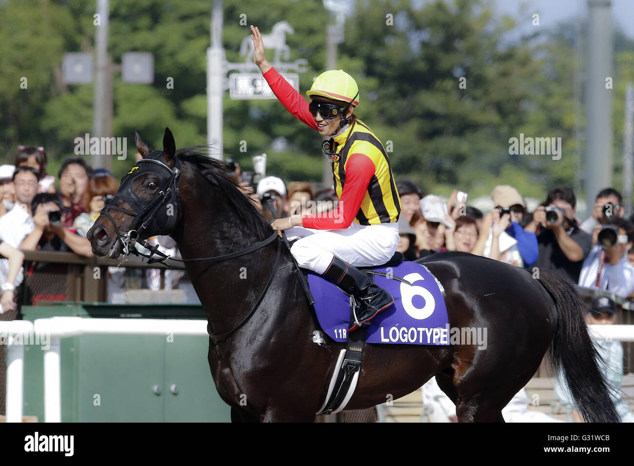 Fuchu, Tokyo, Japan. 5th June, 2016. Logotype (Hironobu Tanabe) Horse ...