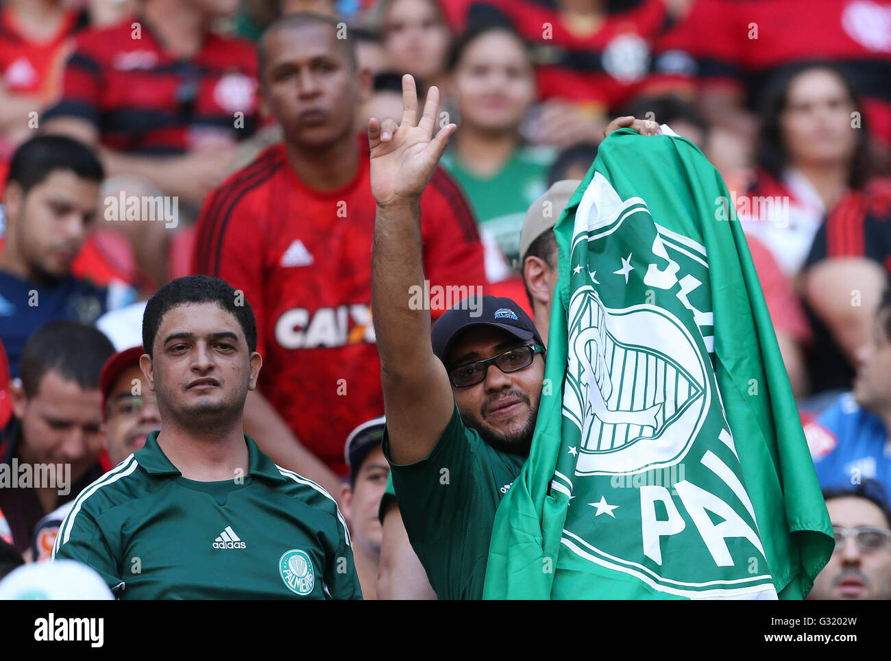 Palmeiras flamengo 2016 hi-res stock photography and images - Alamy