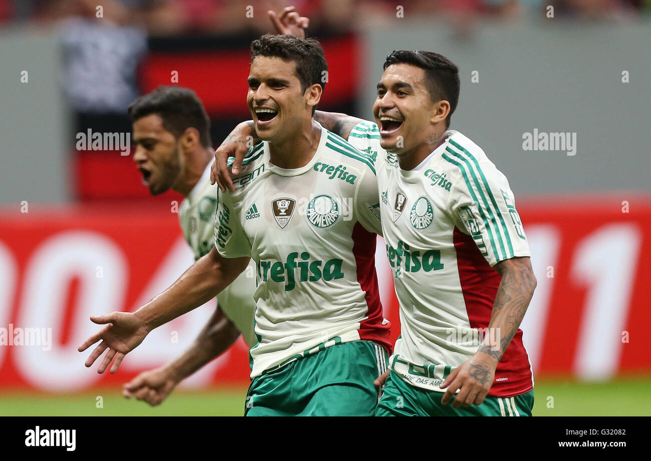 BRASILIA, DF - 06/05/2016: FLAMINGO X PALM TREES - The player Jean, SE ...