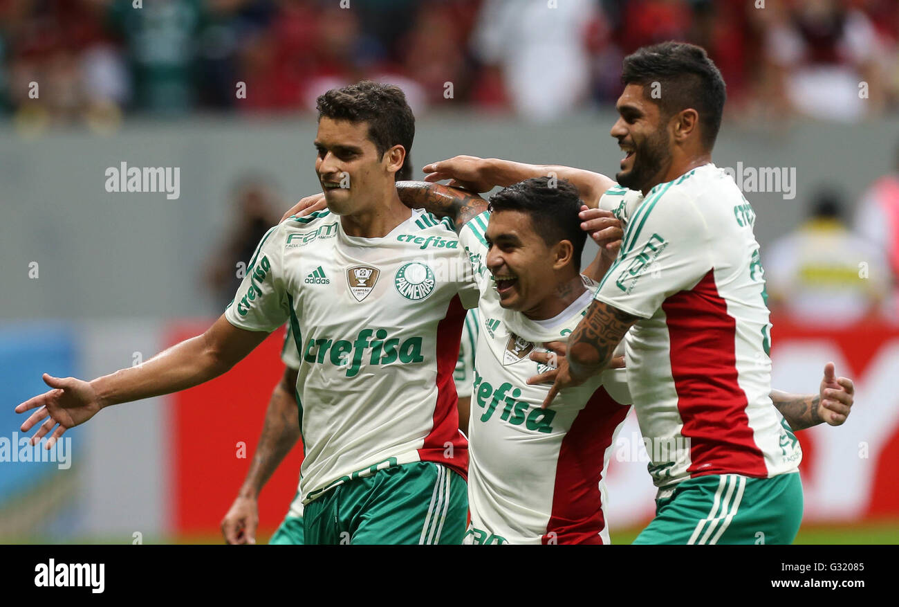 Palmeiras flamengo 2016 hi-res stock photography and images - Alamy