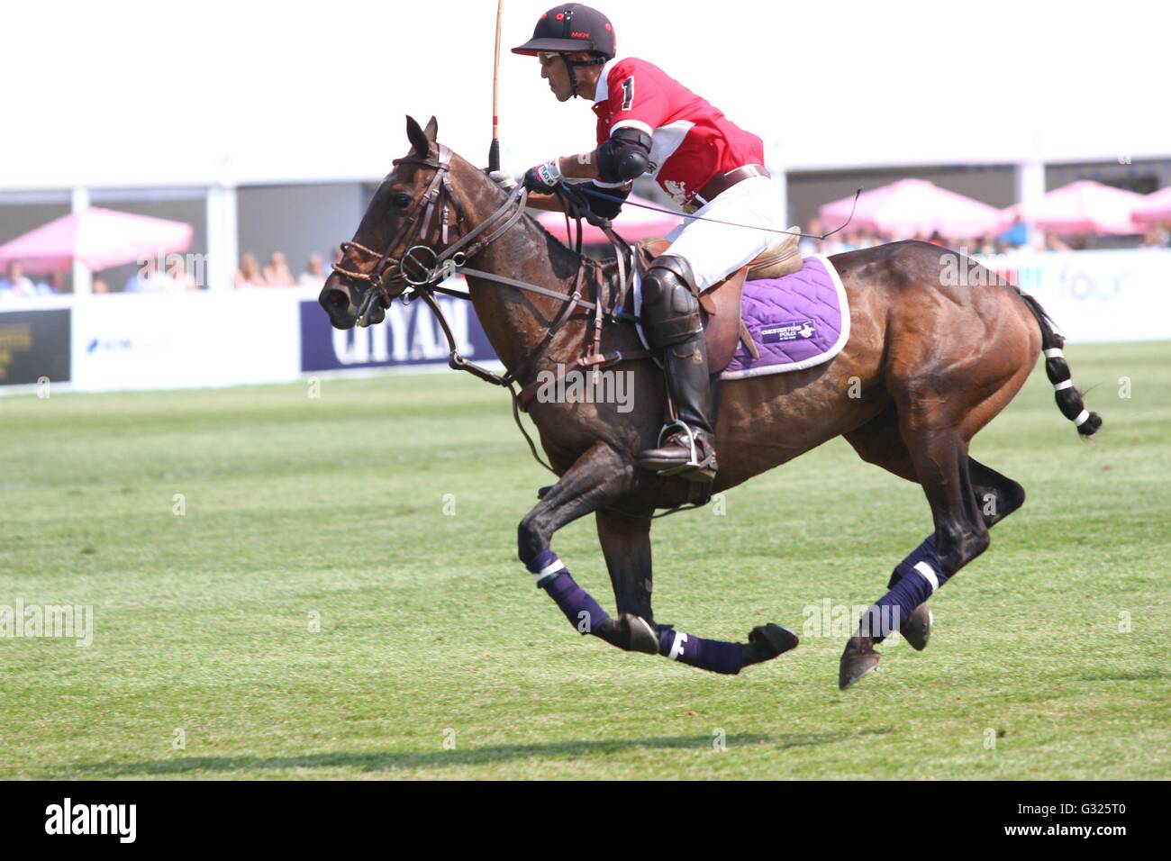 The hurlingham club hi-res stock photography and images - Alamy