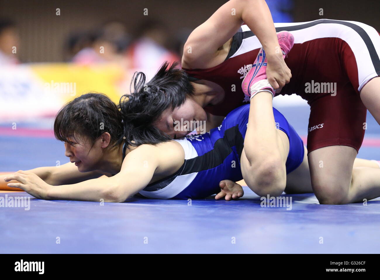 (L-R) Mayu Mukaida, Arisa Tanaka, MAY 29, 2016 - Wrestling : Meiji Cup ...