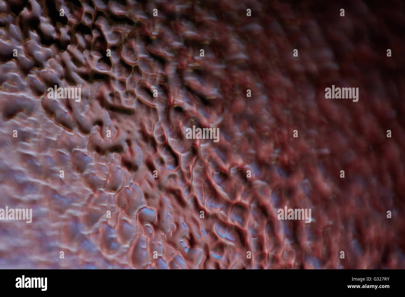 Glass texture back illuminated, macro of abstract glass texture Stock ...