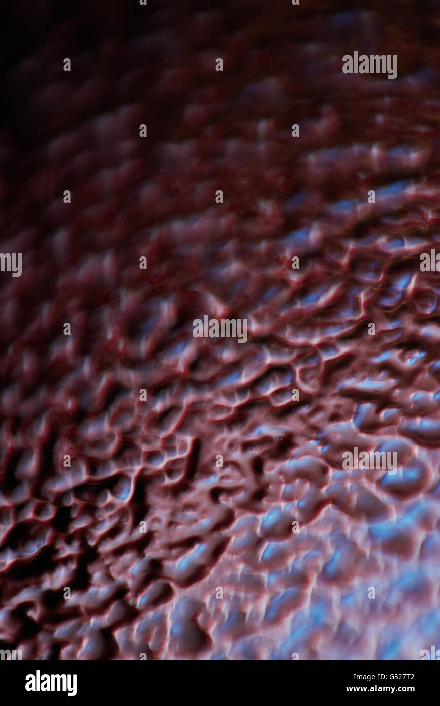 Glass texture back illuminated, macro of abstract glass texture Stock ...