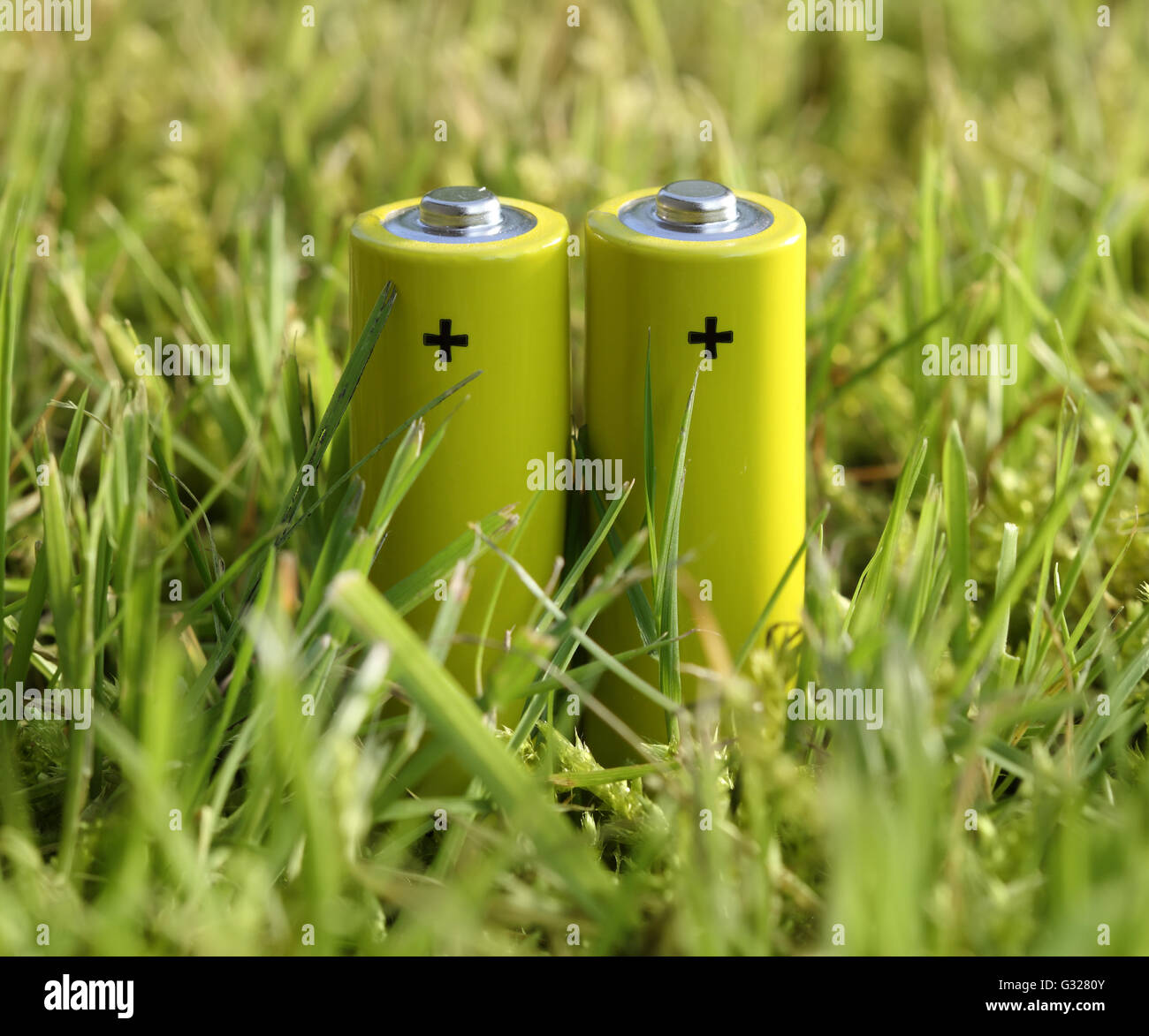 Environment and nature concepts Stock Photo - Alamy