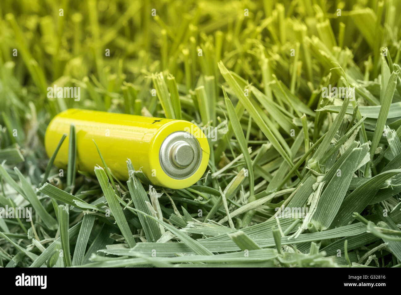 Environment and nature concepts Stock Photo - Alamy