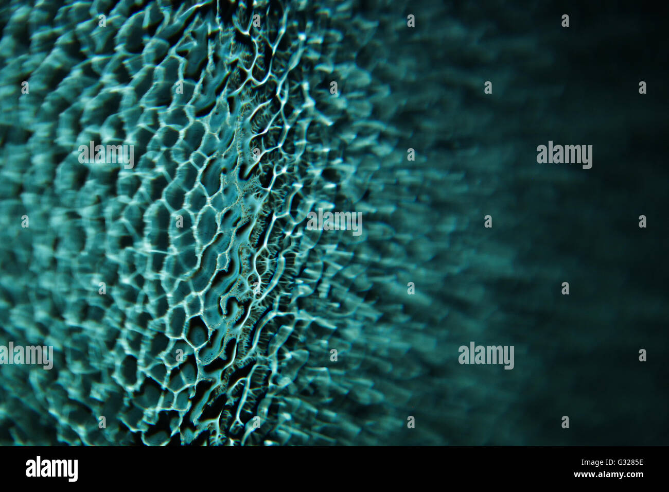 glossy glass texture and luxury background Stock Photo - Alamy