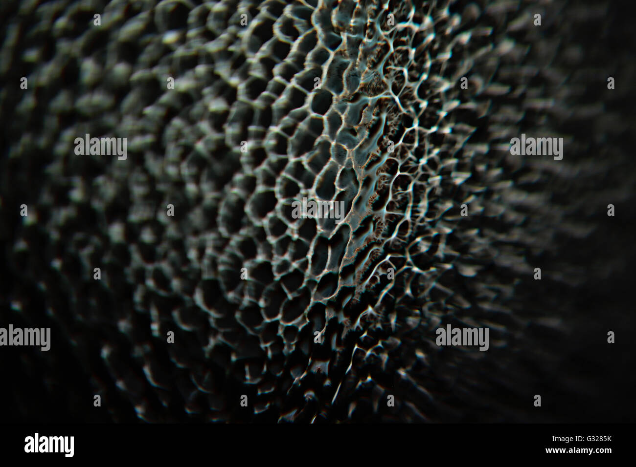 Glass texture back illuminated Stock Photo - Alamy