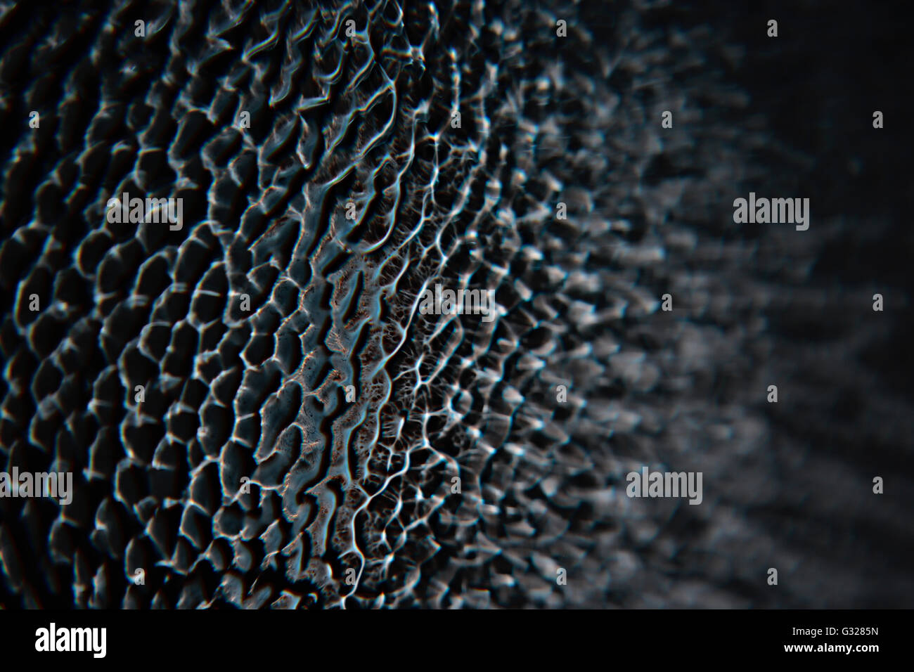 Glass texture back illuminated Stock Photo - Alamy