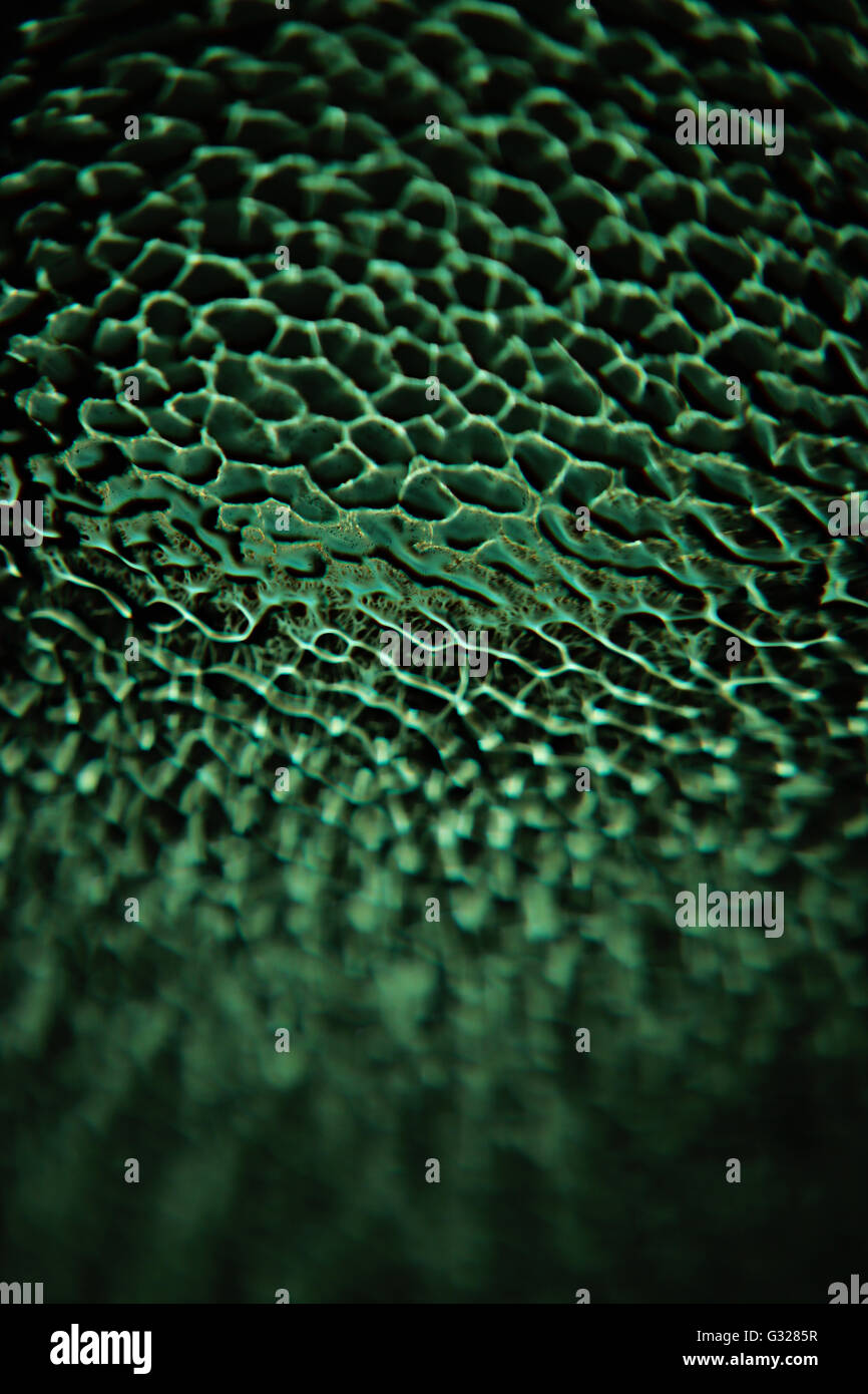 glossy glass texture and luxury background Stock Photo - Alamy