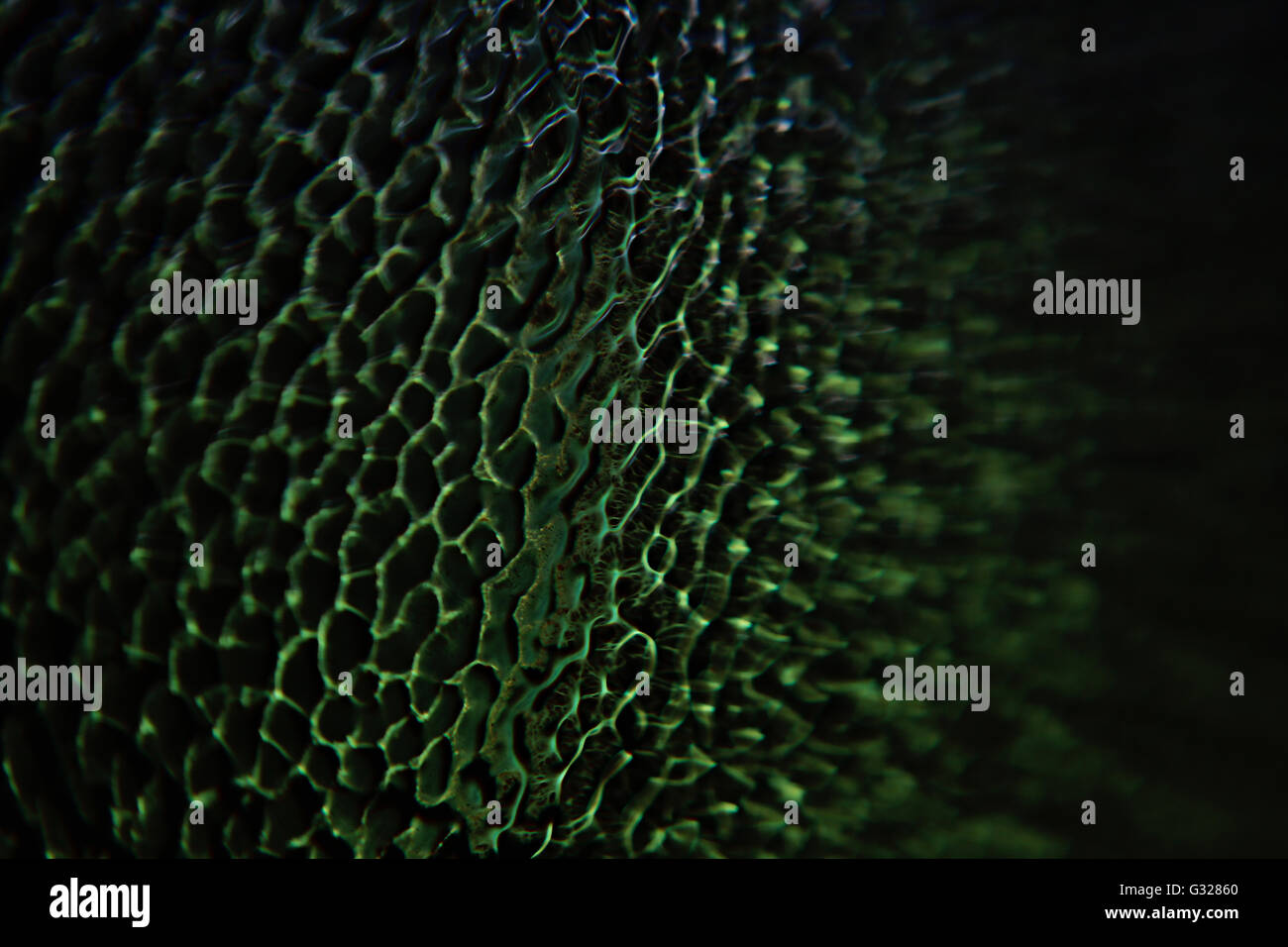 glossy glass texture and luxury background Stock Photo - Alamy