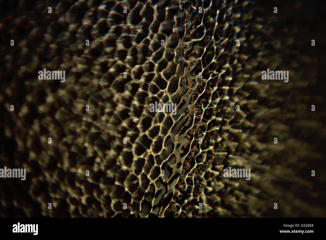 glossy glass texture and luxury background Stock Photo - Alamy